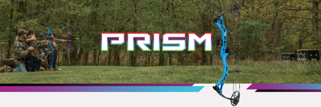 Get Your Diamond Prism Bow Today