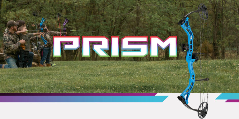 Get Your Diamond Prism Bow Today